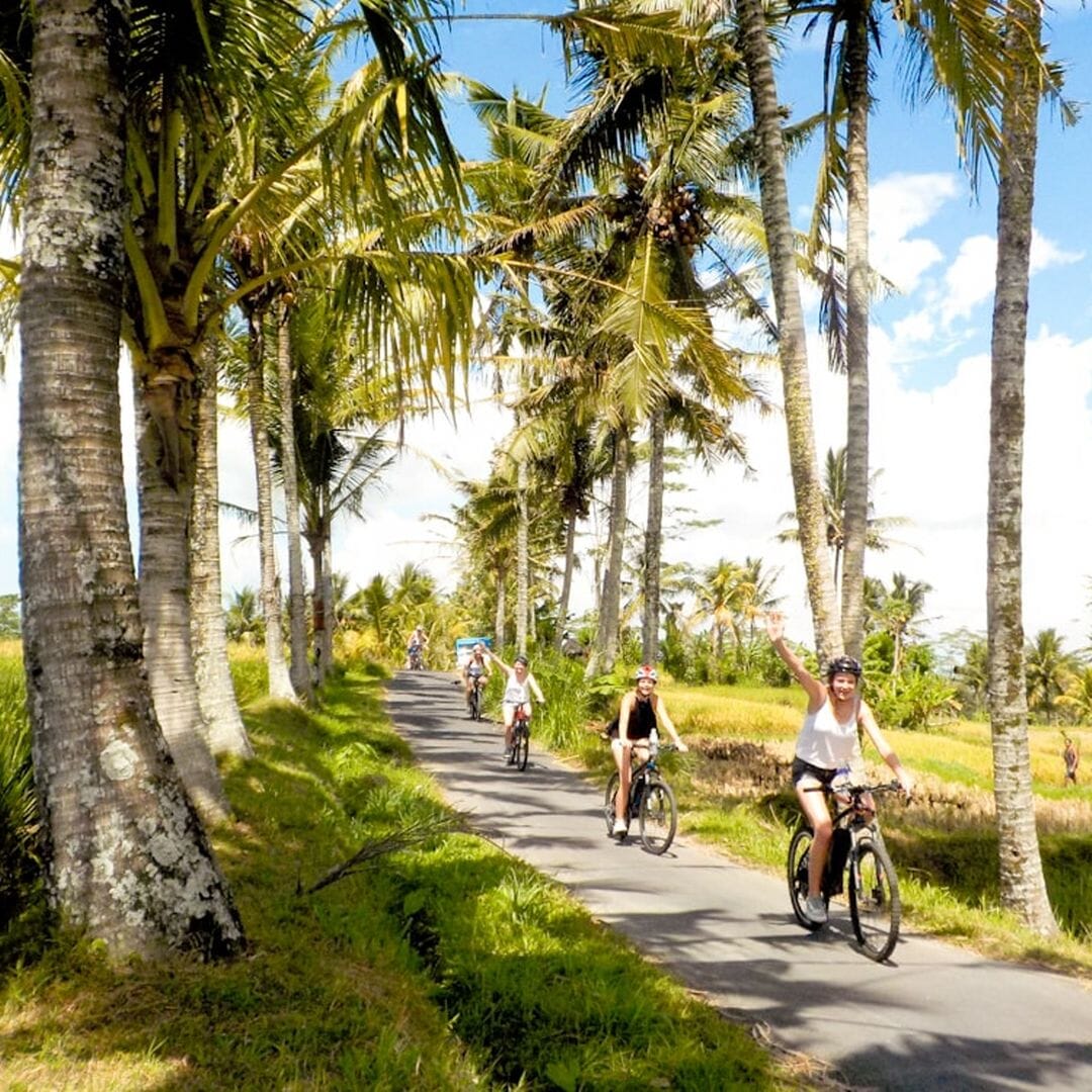 Bali’s Best Beaches: A Comprehensive Guide for 2024 | Bali Car Driver