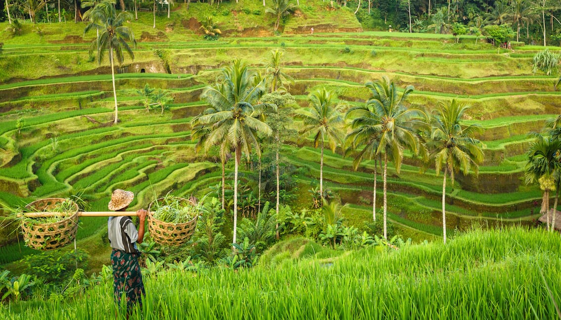 Sustainable Travel in Bali: How to Reduce Your Environmental Impact ...